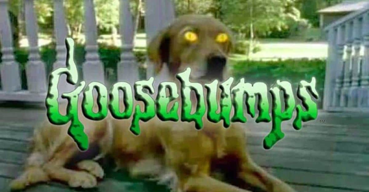 7 redenen waarom we de tv-serie Kippenvel doodeng vonden