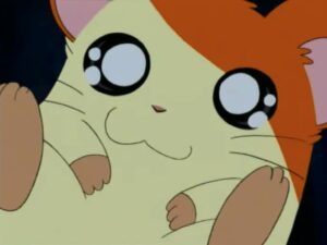 17 zaken die je alleen herkent als je naar Hamtaro keek