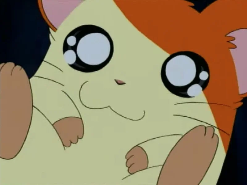 Hamtaro Karakterer Hamtaro Figur Anime Hamster Berbaris Makan Biji